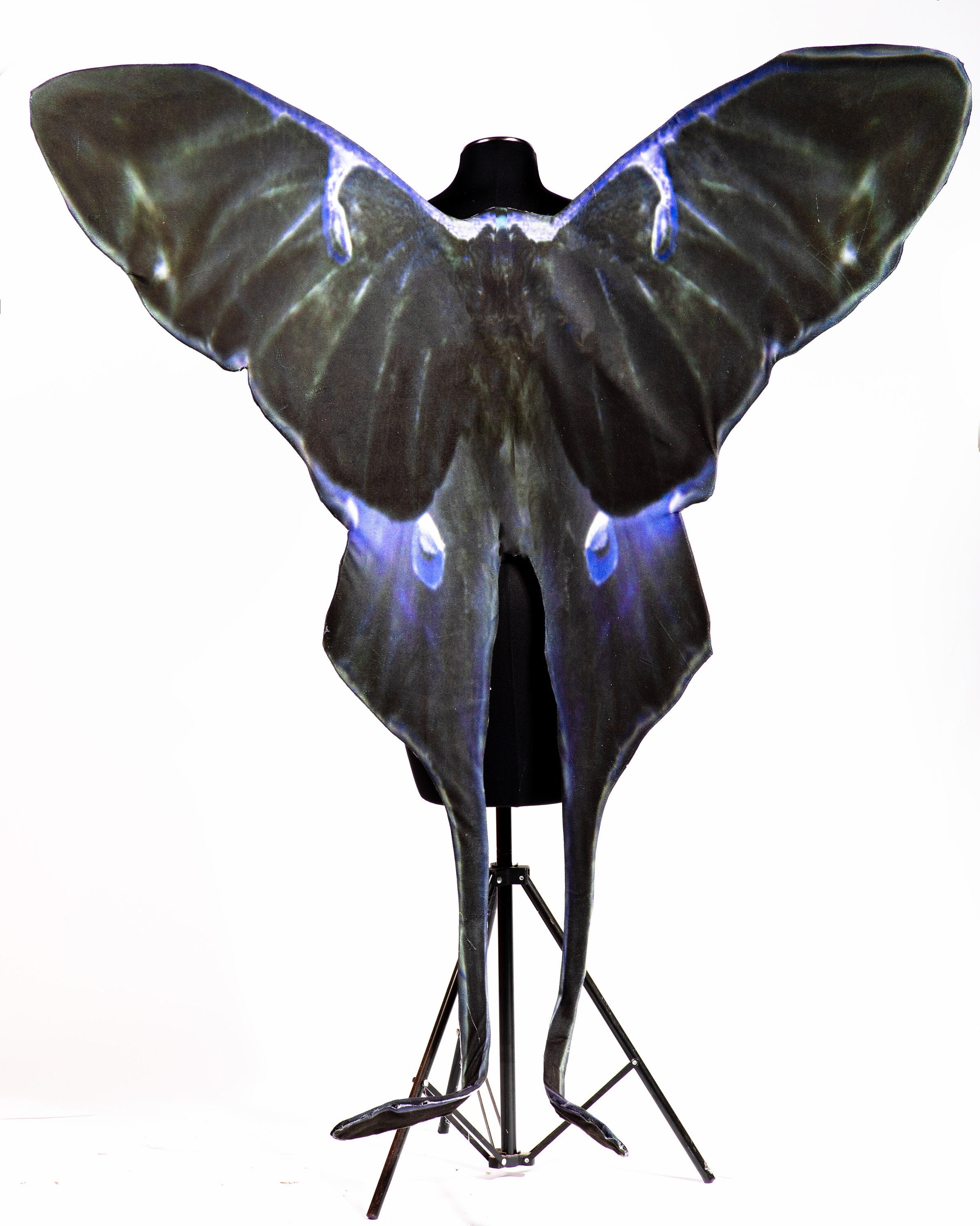 Black Luna Moth Mega Wing - Etsy