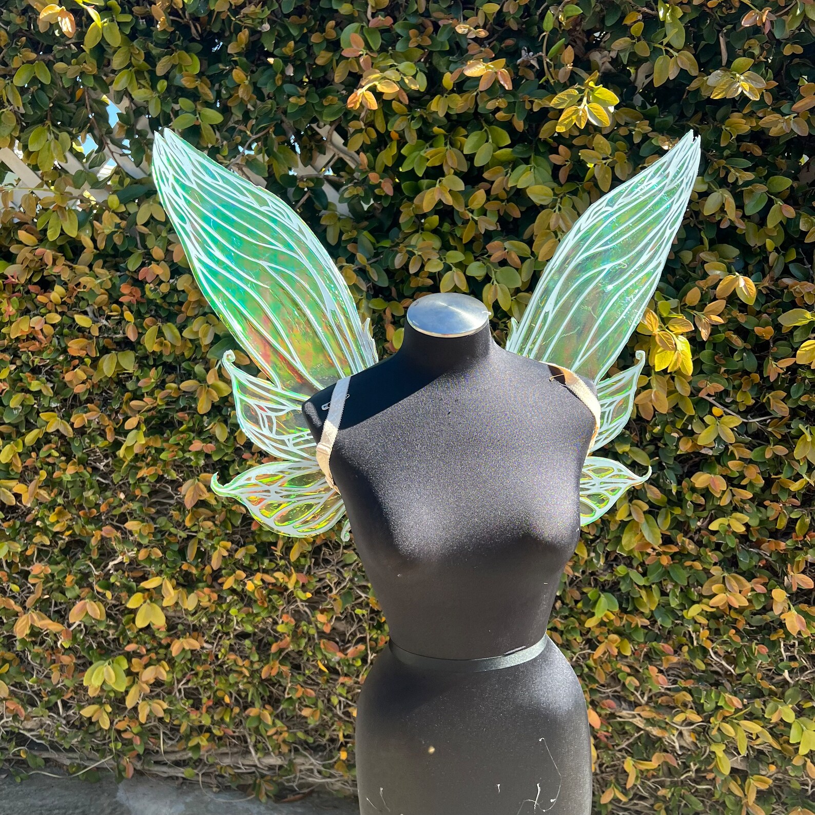 Tinkerbell Green Blue Iridescent Fairy Wing Coachella Burningman - Etsy