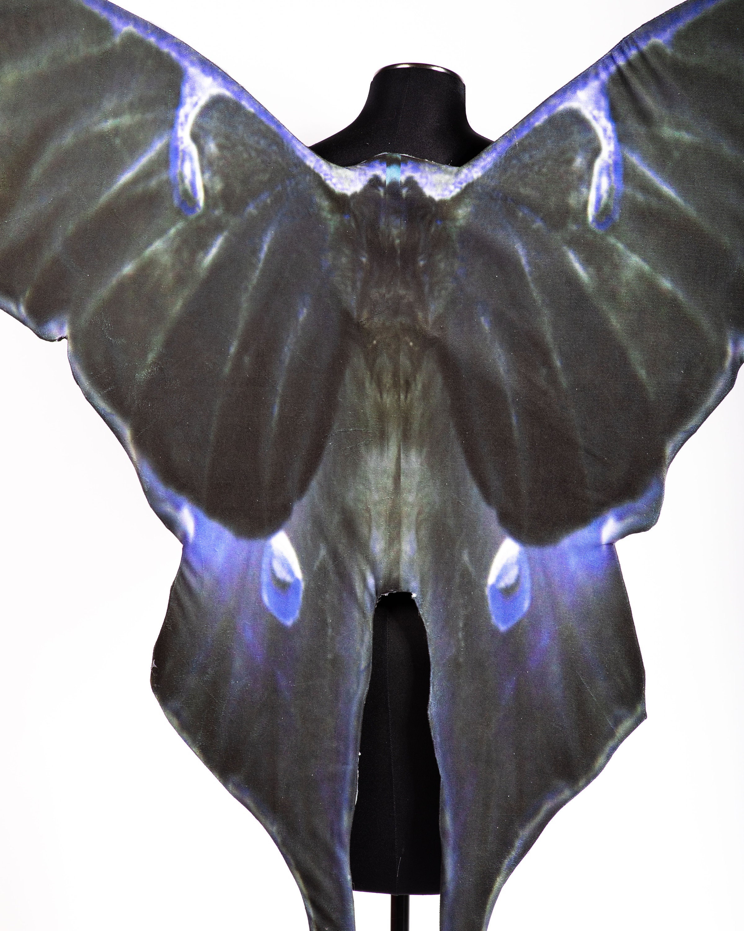 Black Luna Moth Mega Wing - Etsy