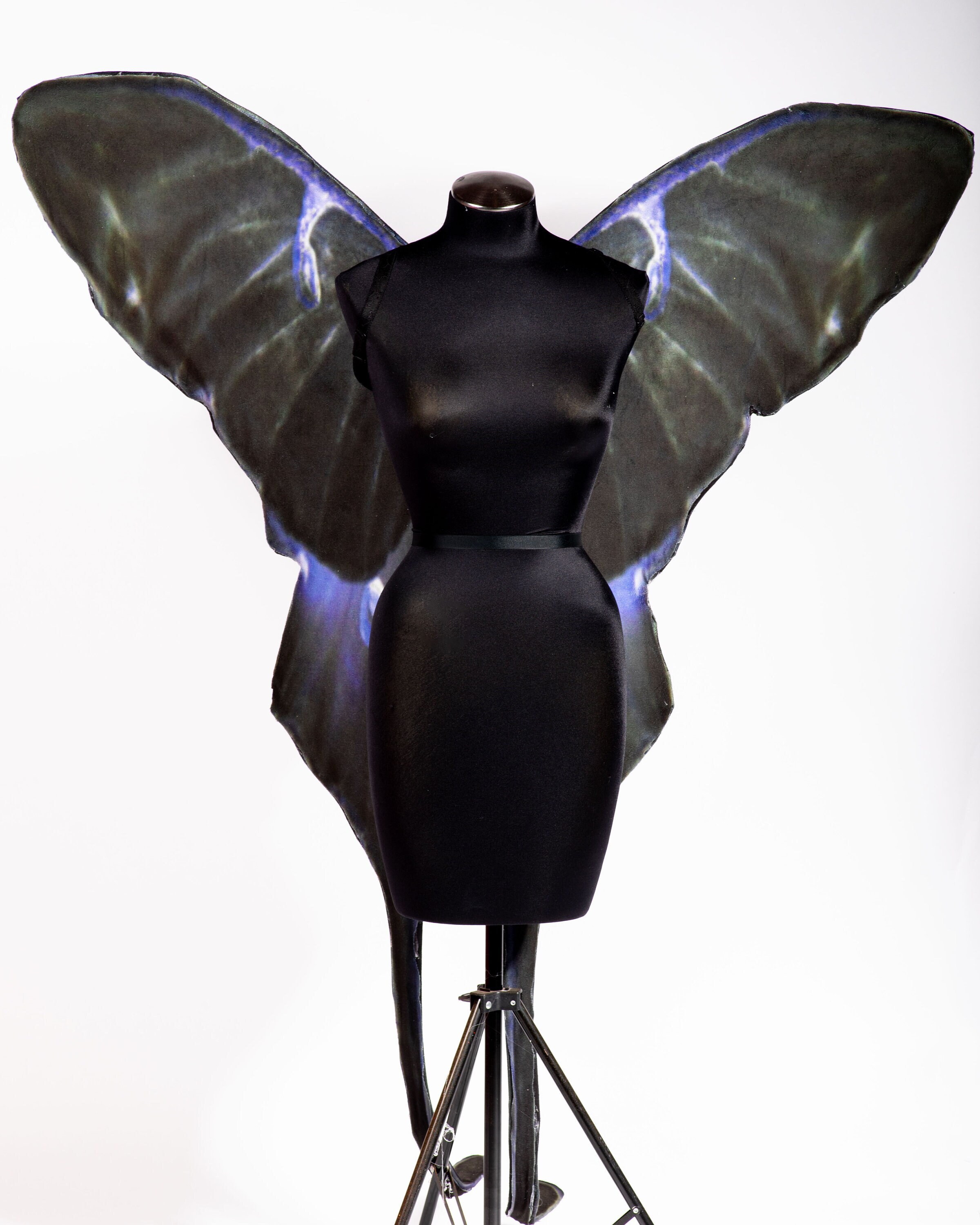 Black Luna Moth Mega Wing - Etsy