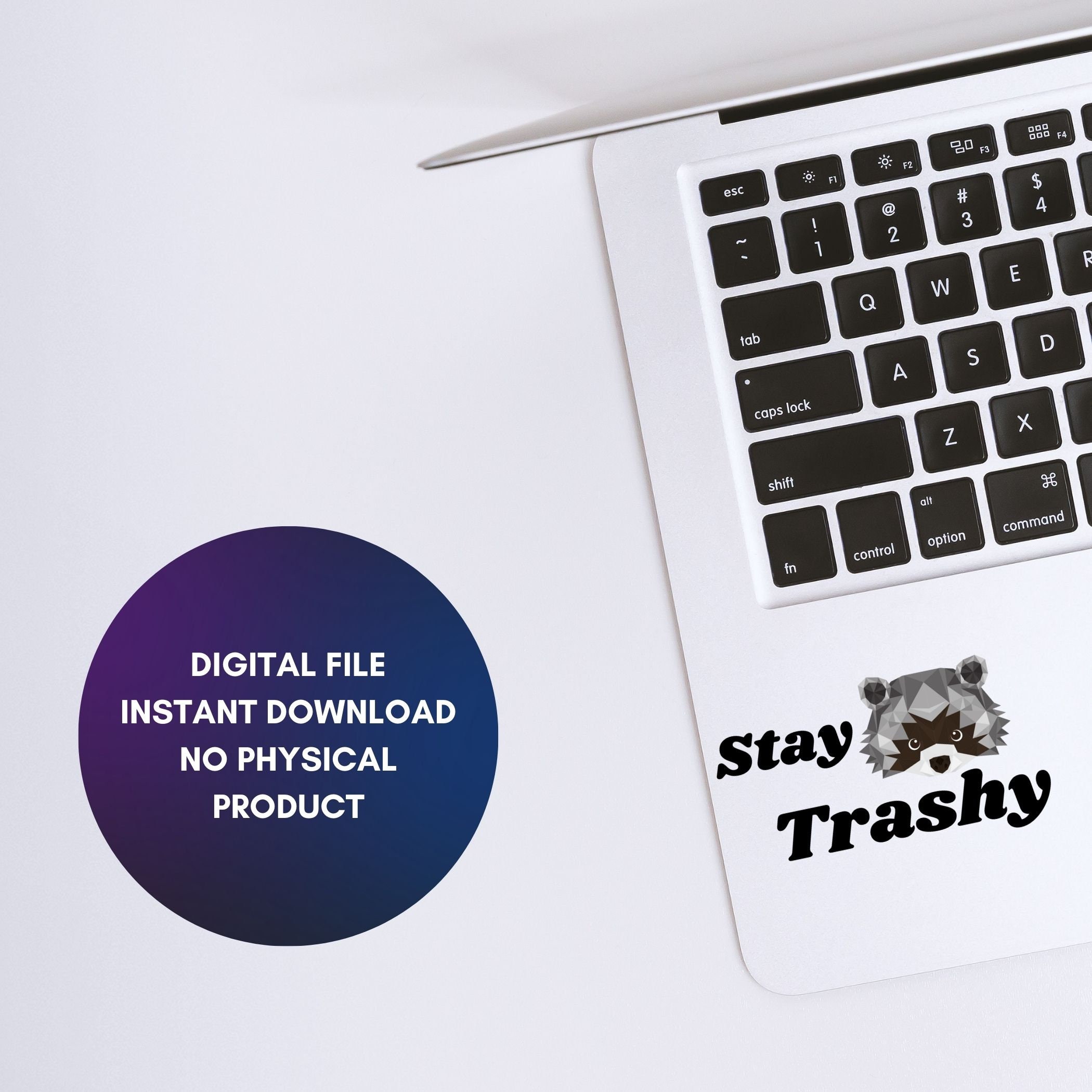 Stay Trashy SVG PNG, Funny Raccoon Svg, Retro Svg, Funny Stay Trashy ...