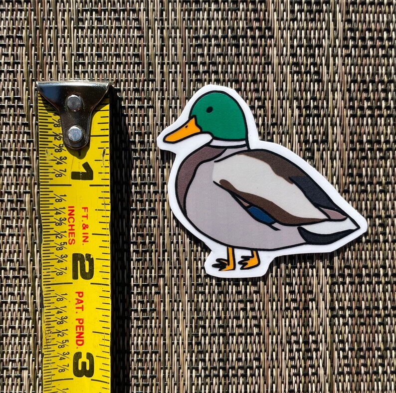 Mallard Duck Sticker: Glossy Water Resistant Decal - Etsy