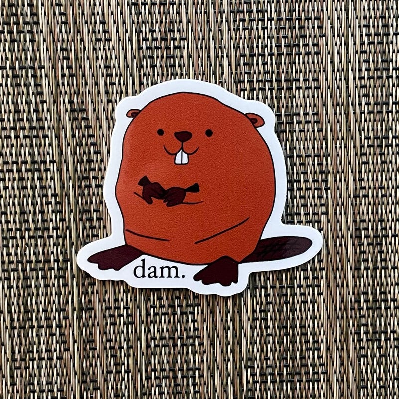 Dam Beaver T Shirt - Etsy