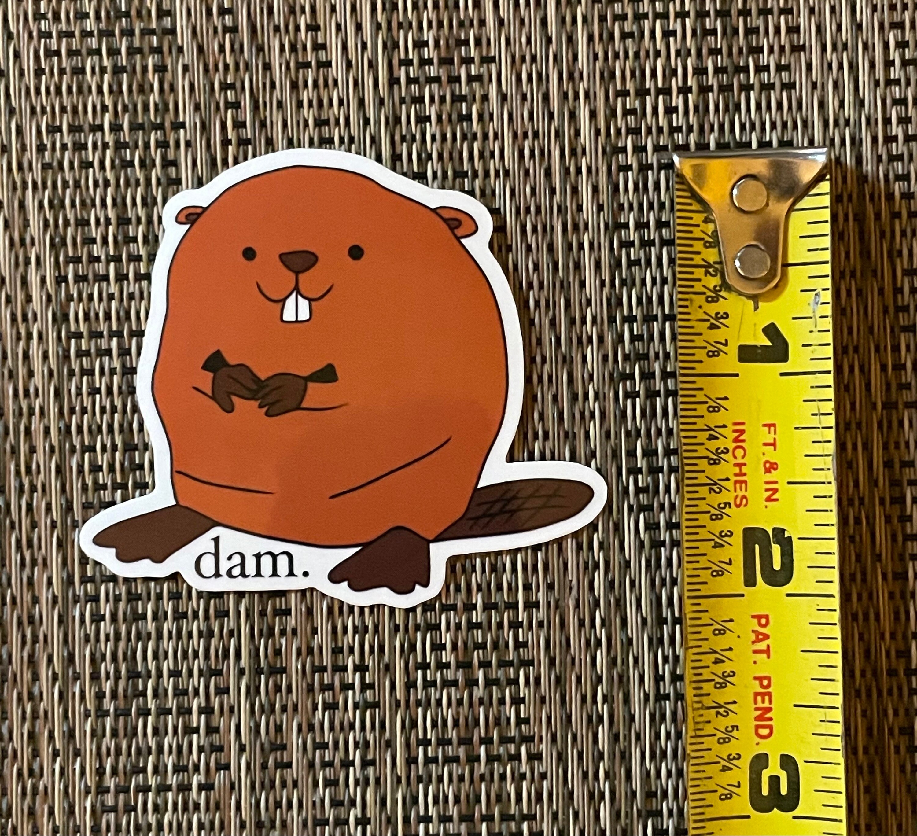 Beaver dam Sticker - Etsy