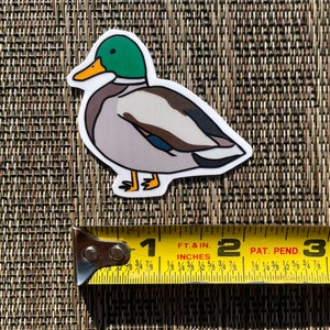 Mallard Duck Sticker: Glossy Water Resistant Decal - Etsy