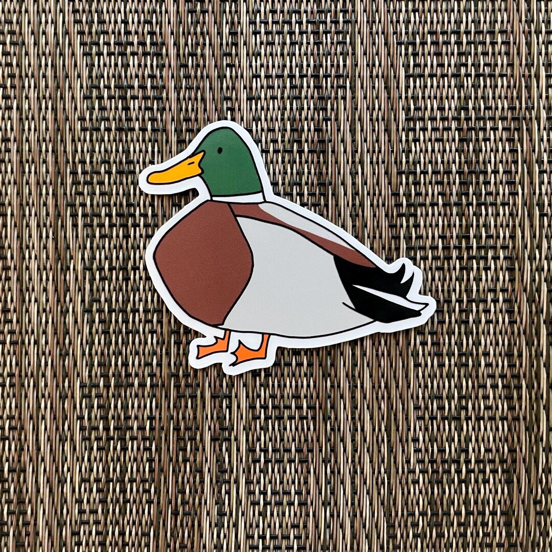 Mallard Duck Sticker - Etsy