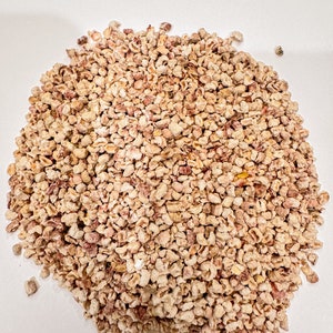 Substrates for Small Pets - Etsy