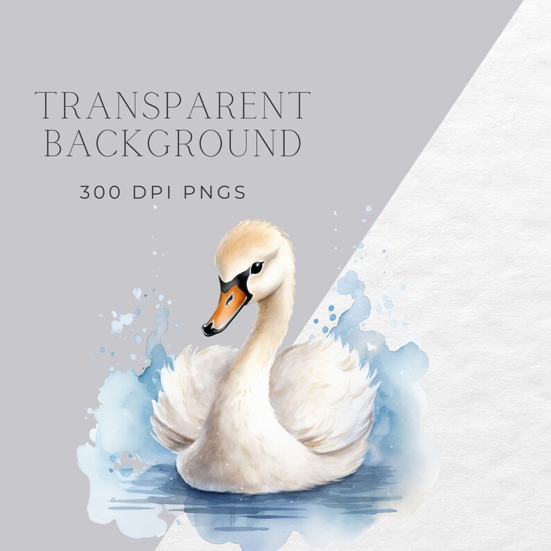 Baby Swan Clipart, Watercolor Nursery Wall Art, Cute Animal Print ...