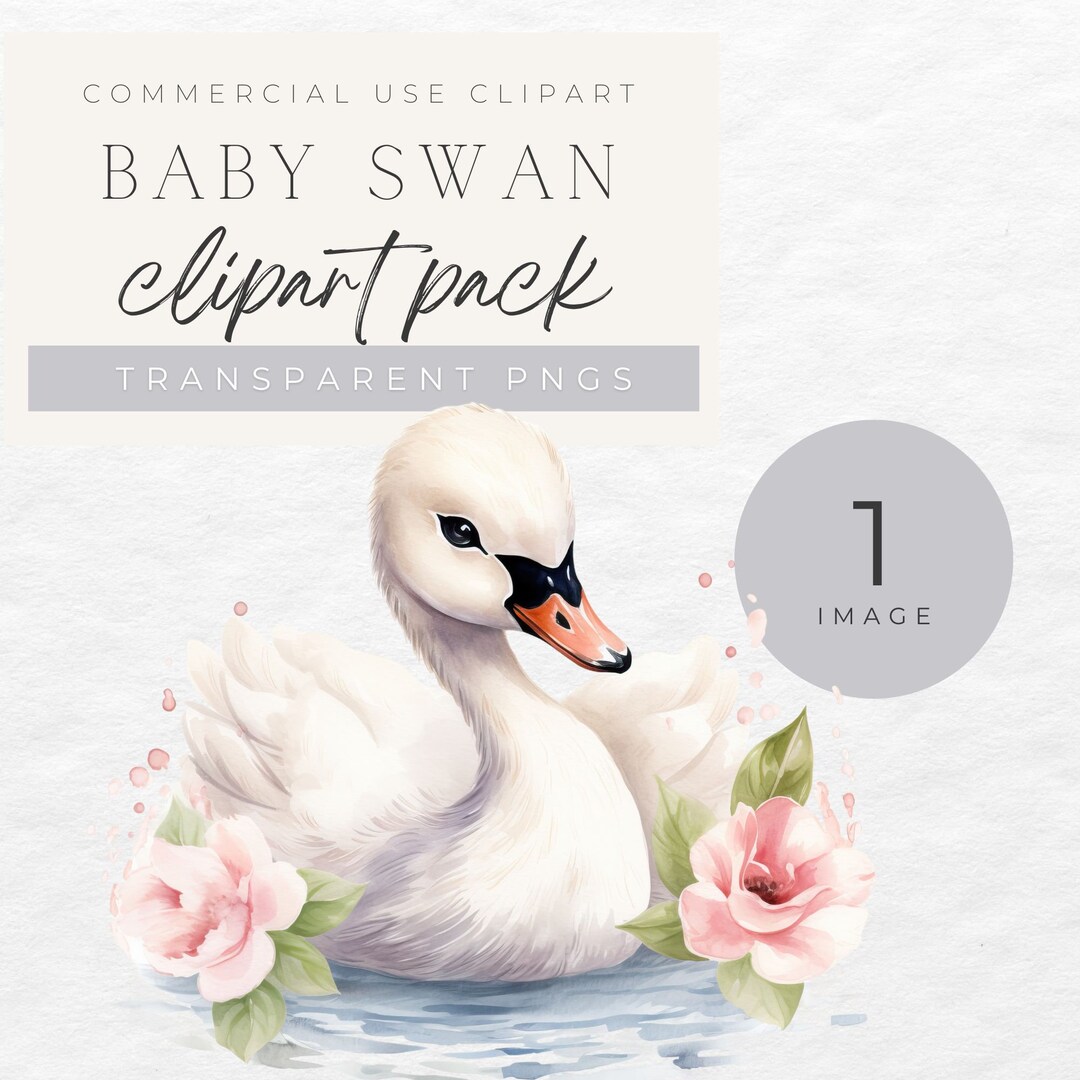 Baby Swan Clipart, Cute Baby Animal Printable Art, Nursery Decor, Baby ...