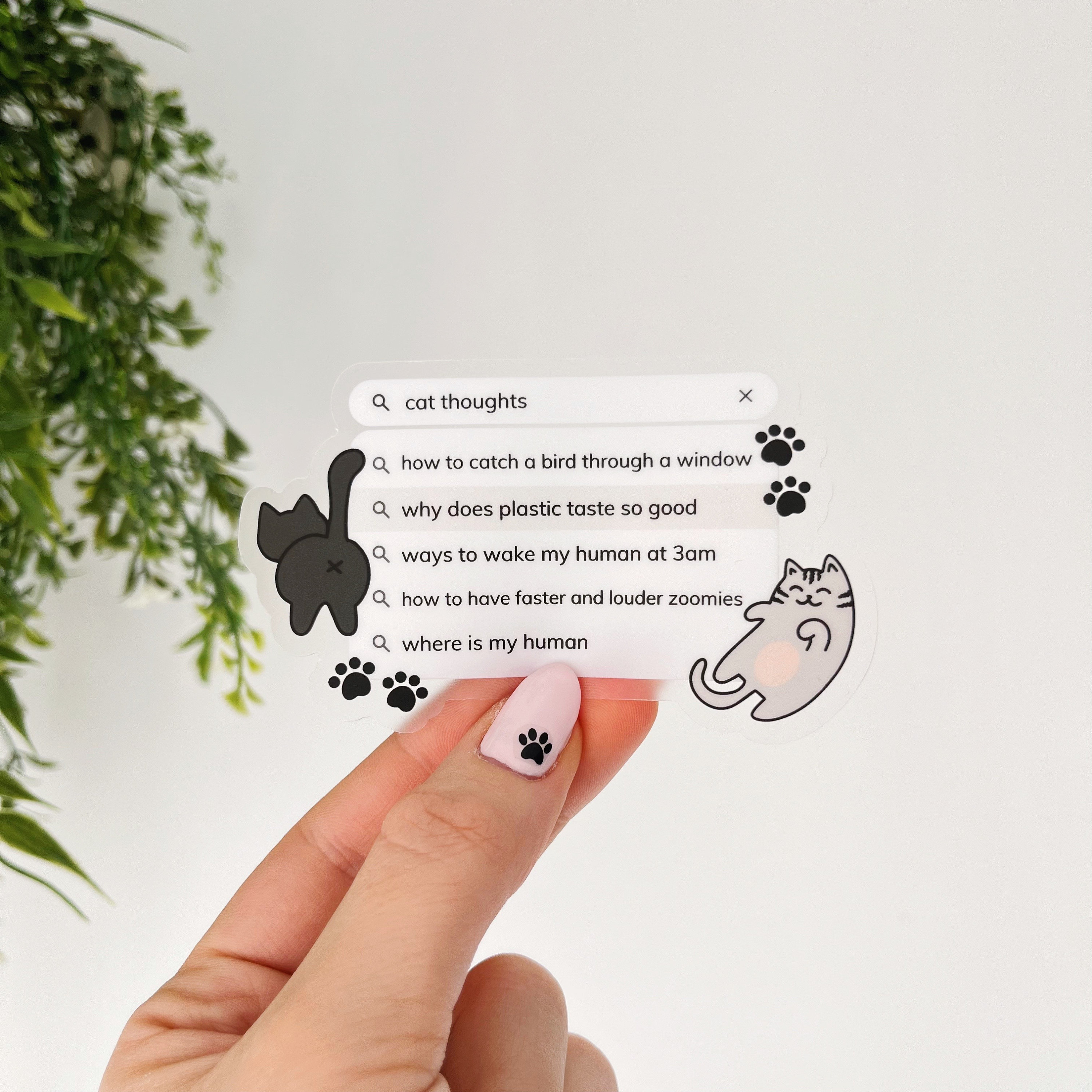 Cat Search Bar Sticker, Funny Cat Sticker, Cat Thoughts Sticker, Clear ...