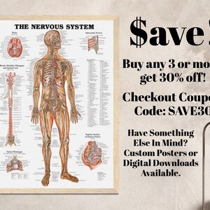 The Nervous System Chart Poster Print Anatomical Human Body Premium ...