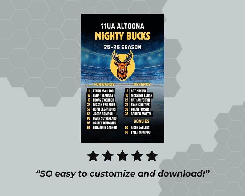Hockey Roster Template: Editable Team Poster, Social Media (canva) - Etsy