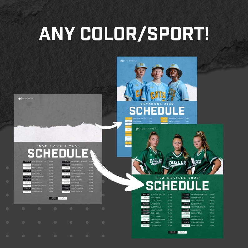 Baseball or Softball Schedule Canva Template: Editable Team Flyer, IG ...