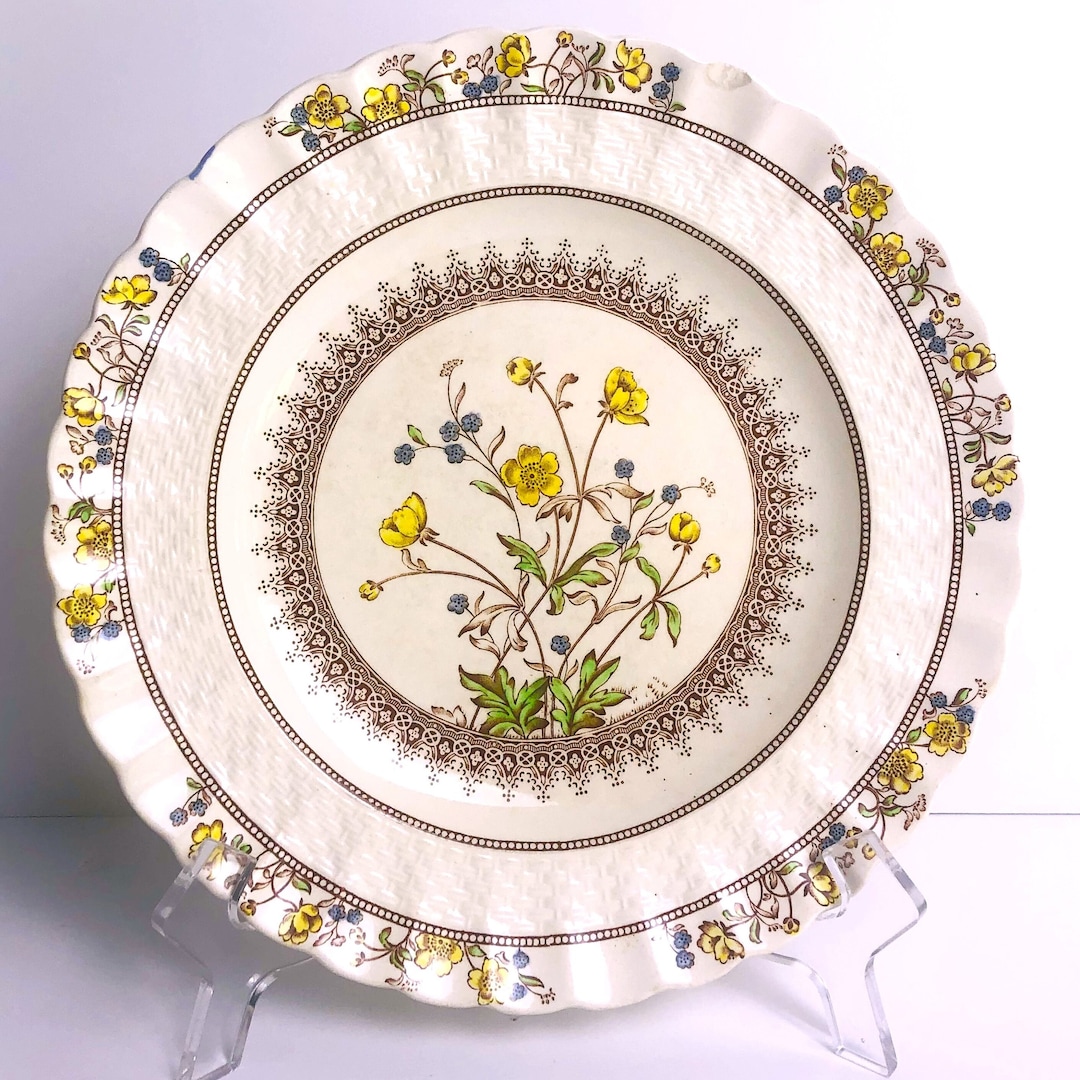 COPELAND SPODE England BUTTERCUP older Backstamp-up to 50's Dinner ...