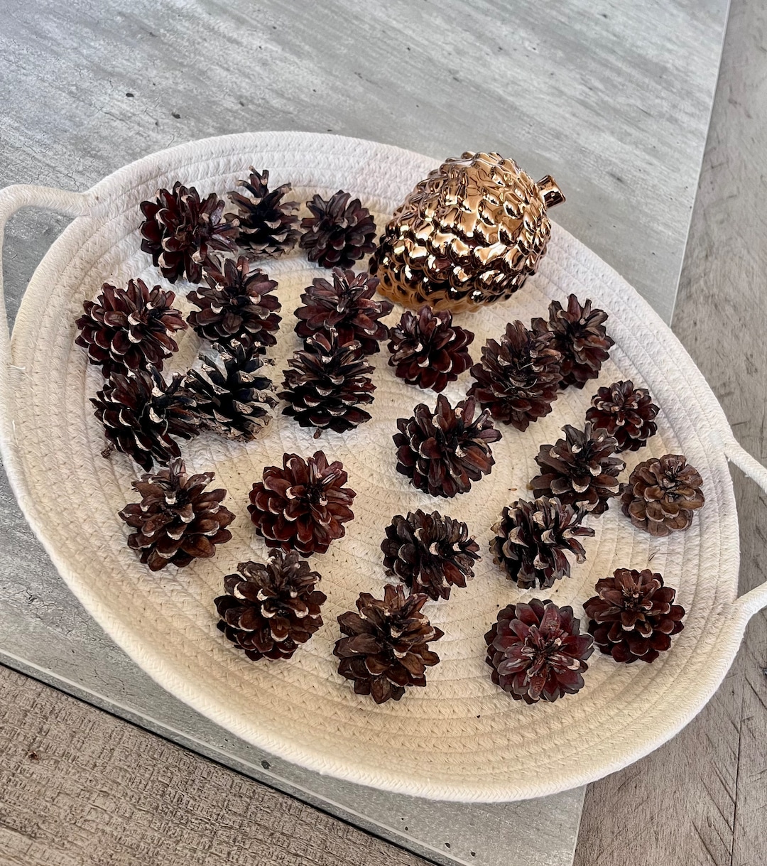 Glazed Organic Pine Cones : Rustic Home Decor, Vase Filler, Craft ...