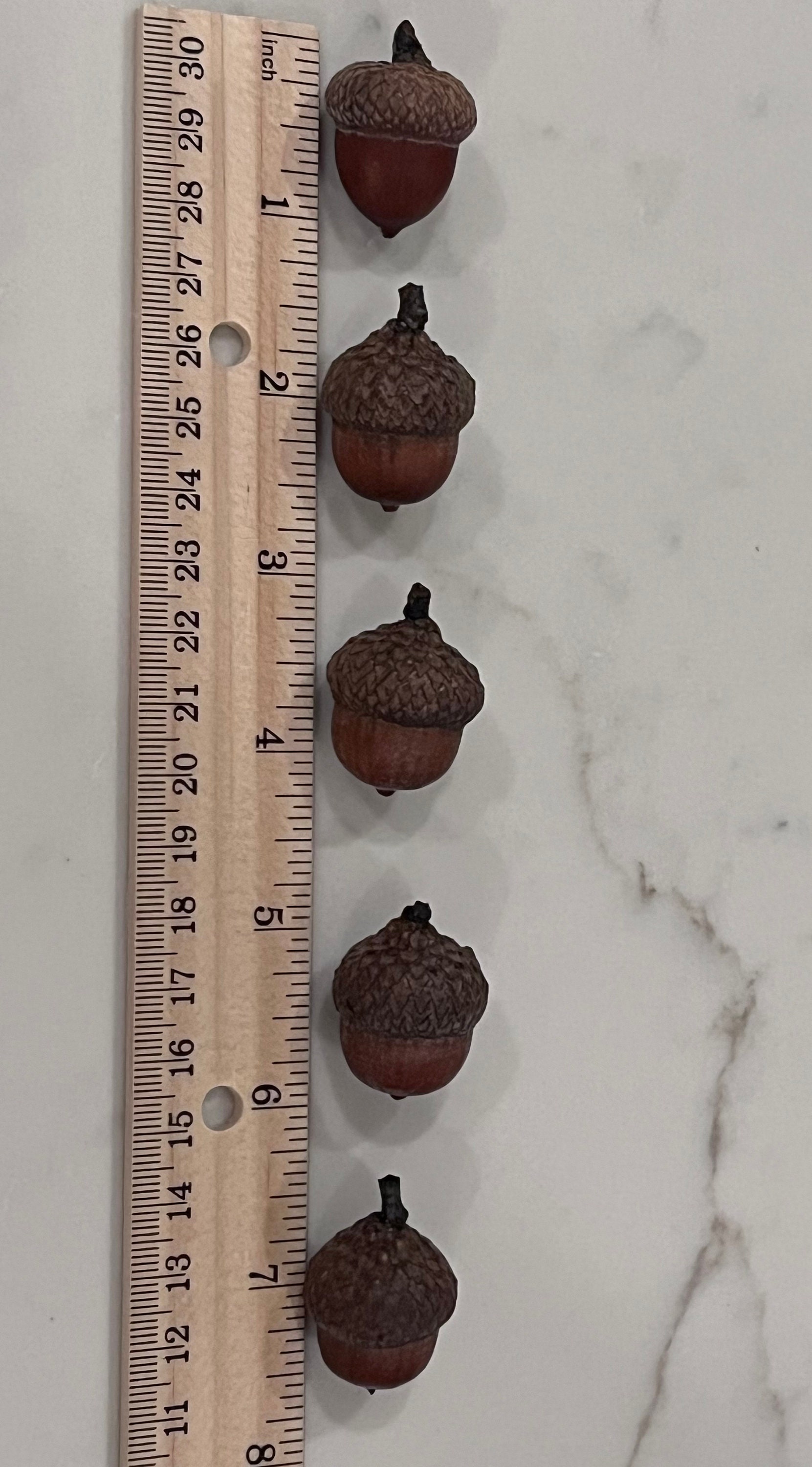 Large Real Acorns-organic Red Oak- Hand Cleaned, Heat Dried, Naturally ...