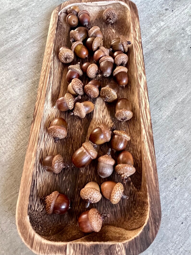 Large Glazed Acorns From a Red Oak - Etsy