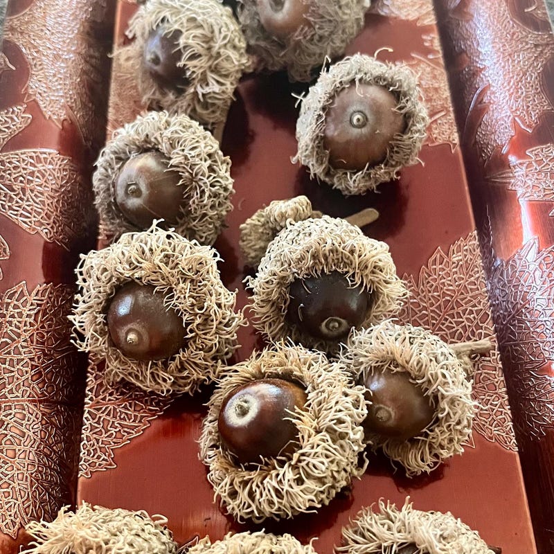 Carved Acorns - Etsy