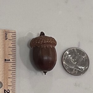 Large Glazed Acorns From a Red Oak - Etsy