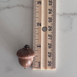 Large Glazed Acorns From a Red Oak - Etsy