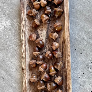 Large Glazed Acorns From a Red Oak - Etsy