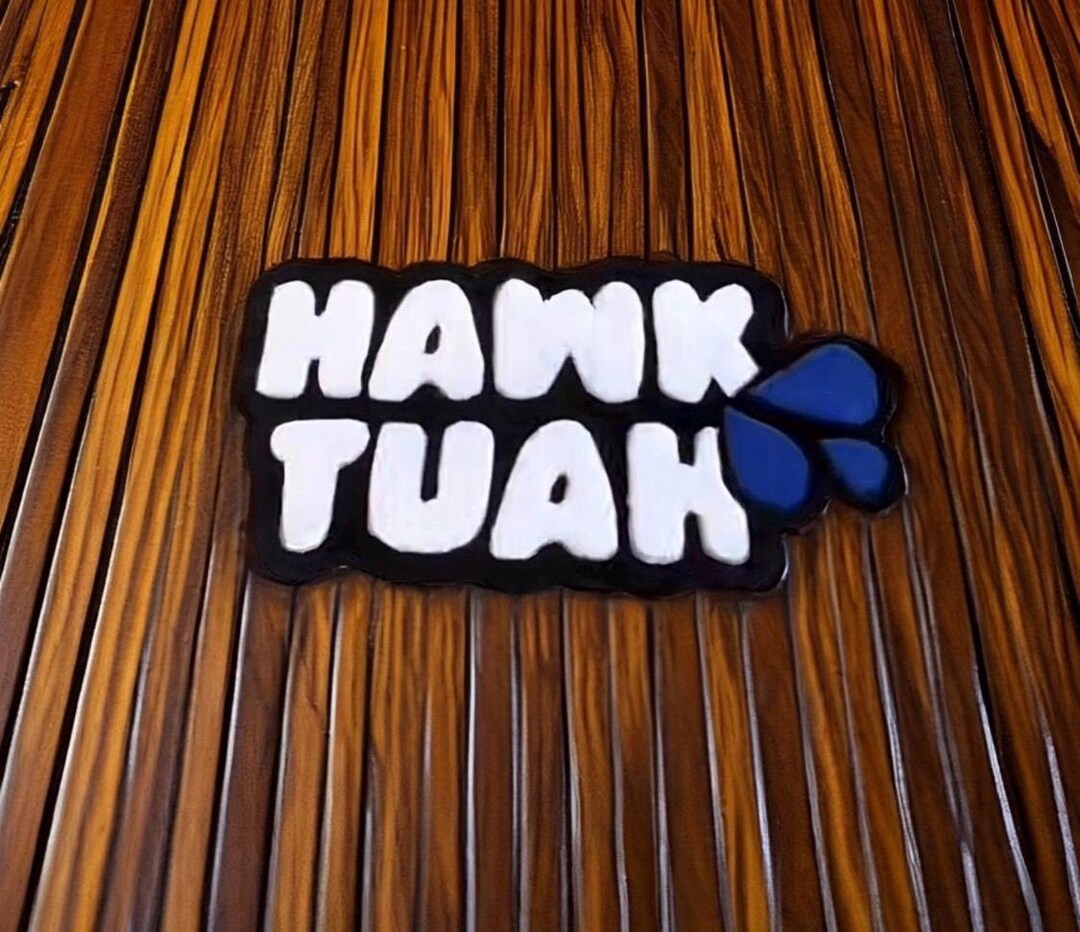 Hawk Tuah Handmade Rug - Etsy