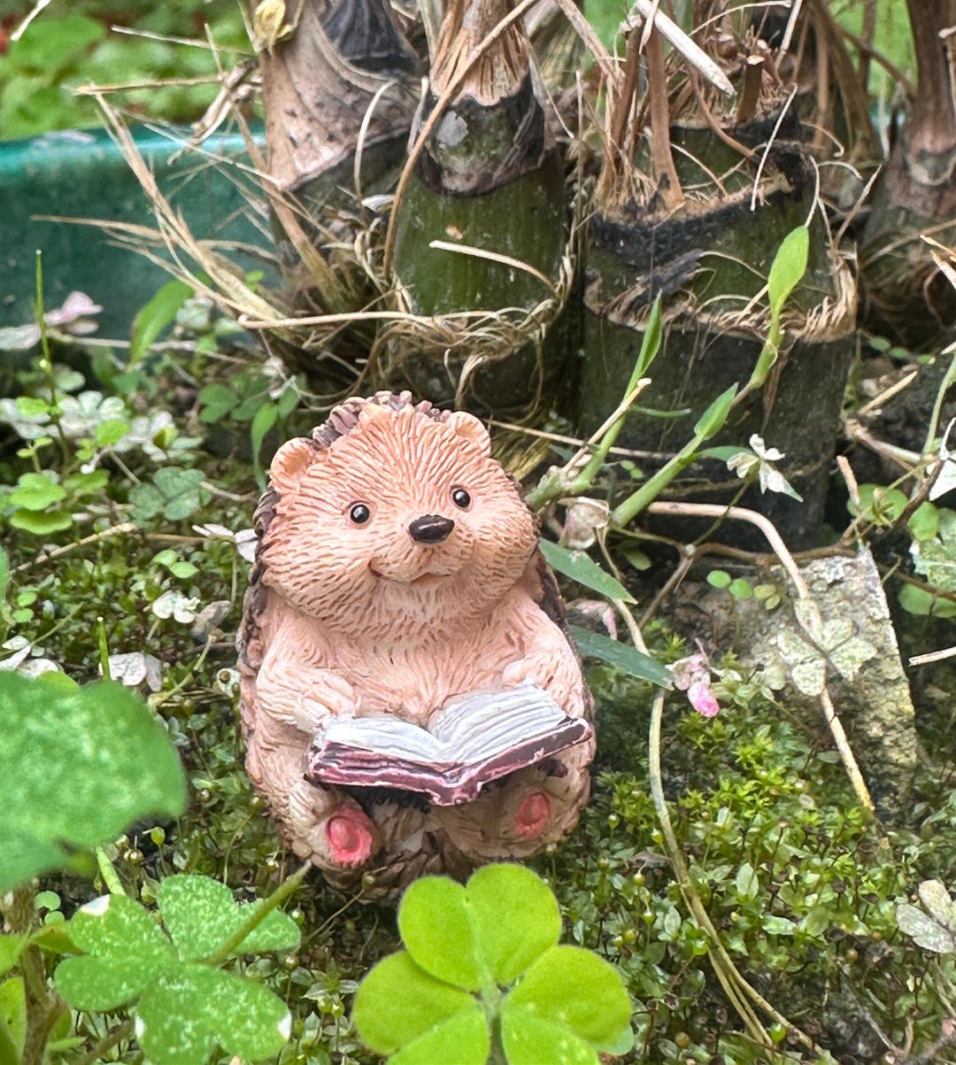 Resin Hedgehog Figurine Reading a Book, 3 Cm Miniature - Etsy