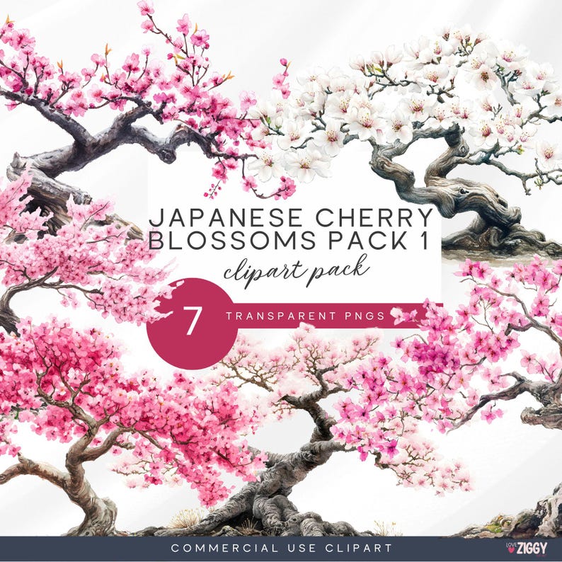 Japanese Cherry Blossom Clipart Pack, Elegant Sakura Branches for ...
