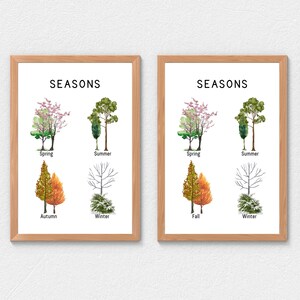Educational Poster Bundle, Homeschool, Classroom, Playroom, Montessori ...