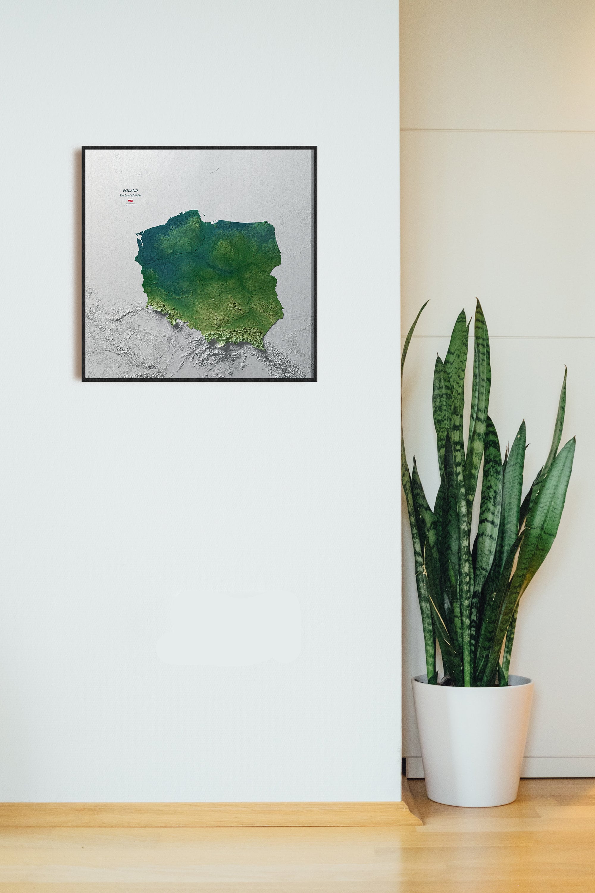 Poland - Stylish Elevation Map - Etsy