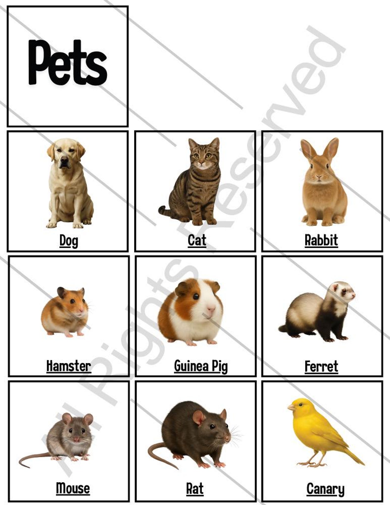 Animal ABA Flashcards by Habitat | Autism & Speech Therapy Visual Cards ...