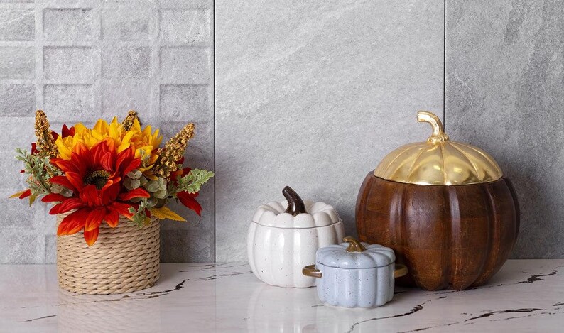 5 Pack Coin Gray 12.6-in X 24.6-in Matte Porcelain Wall and Floor Deco ...