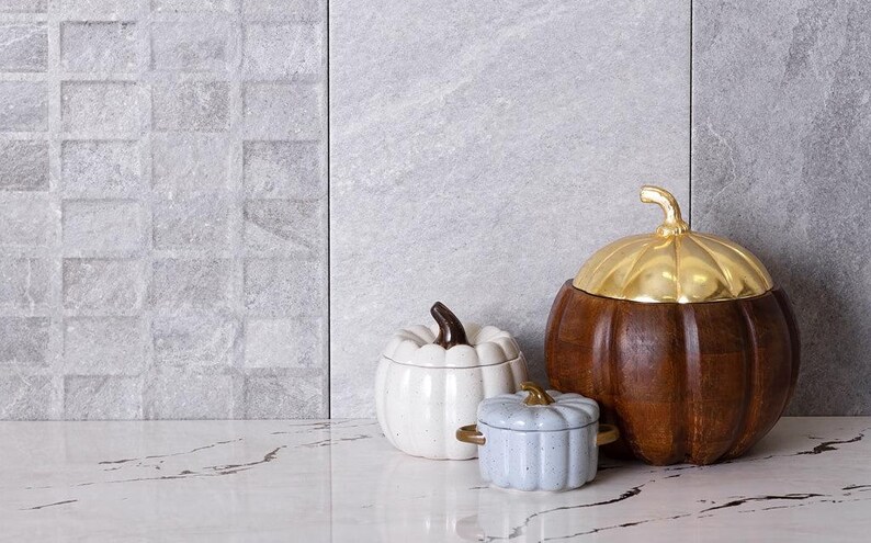 5 Pack Coin Gray 12.6-in X 24.6-in Matte Porcelain Wall and Floor Deco ...