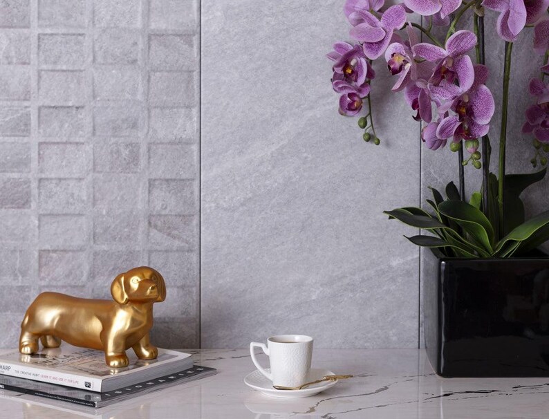 5 Pack Coin Gray 12.6-in X 24.6-in Matte Porcelain Wall and Floor Deco ...