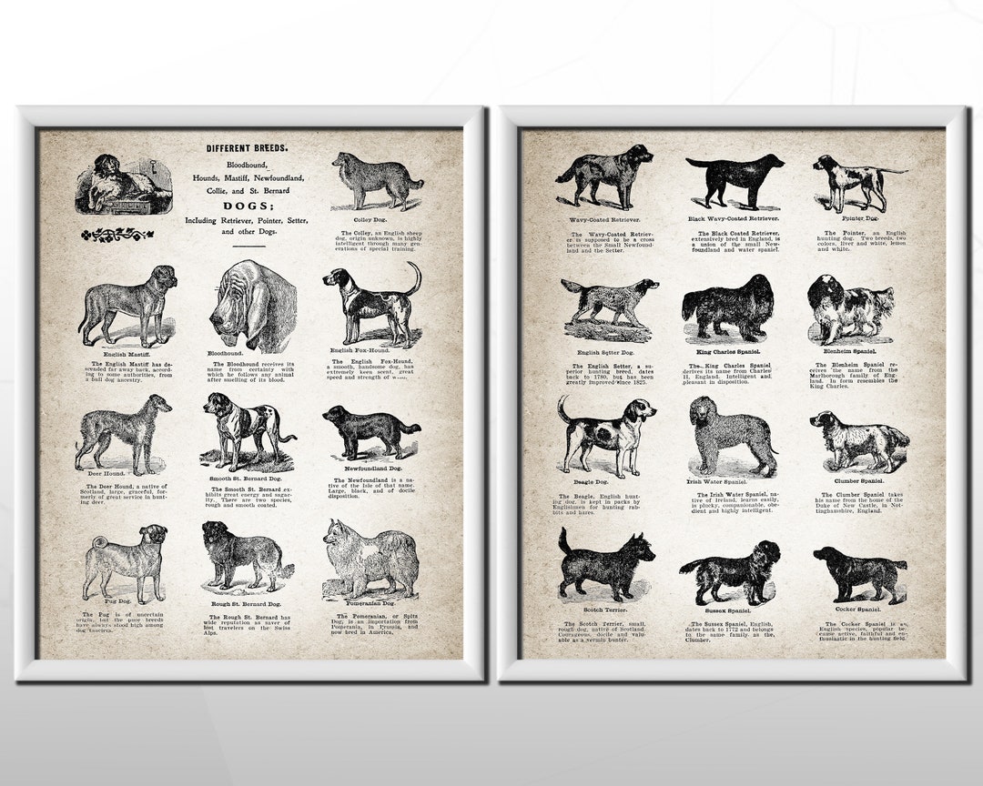 Set of 2 Dog Breeds Poster Hand Drawing, Vintage Printable Home Decor ...