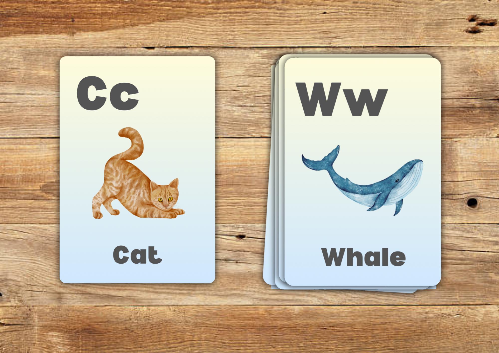 Printable Alphabet Cards | Montessori Cards, Homeschool Resources ...