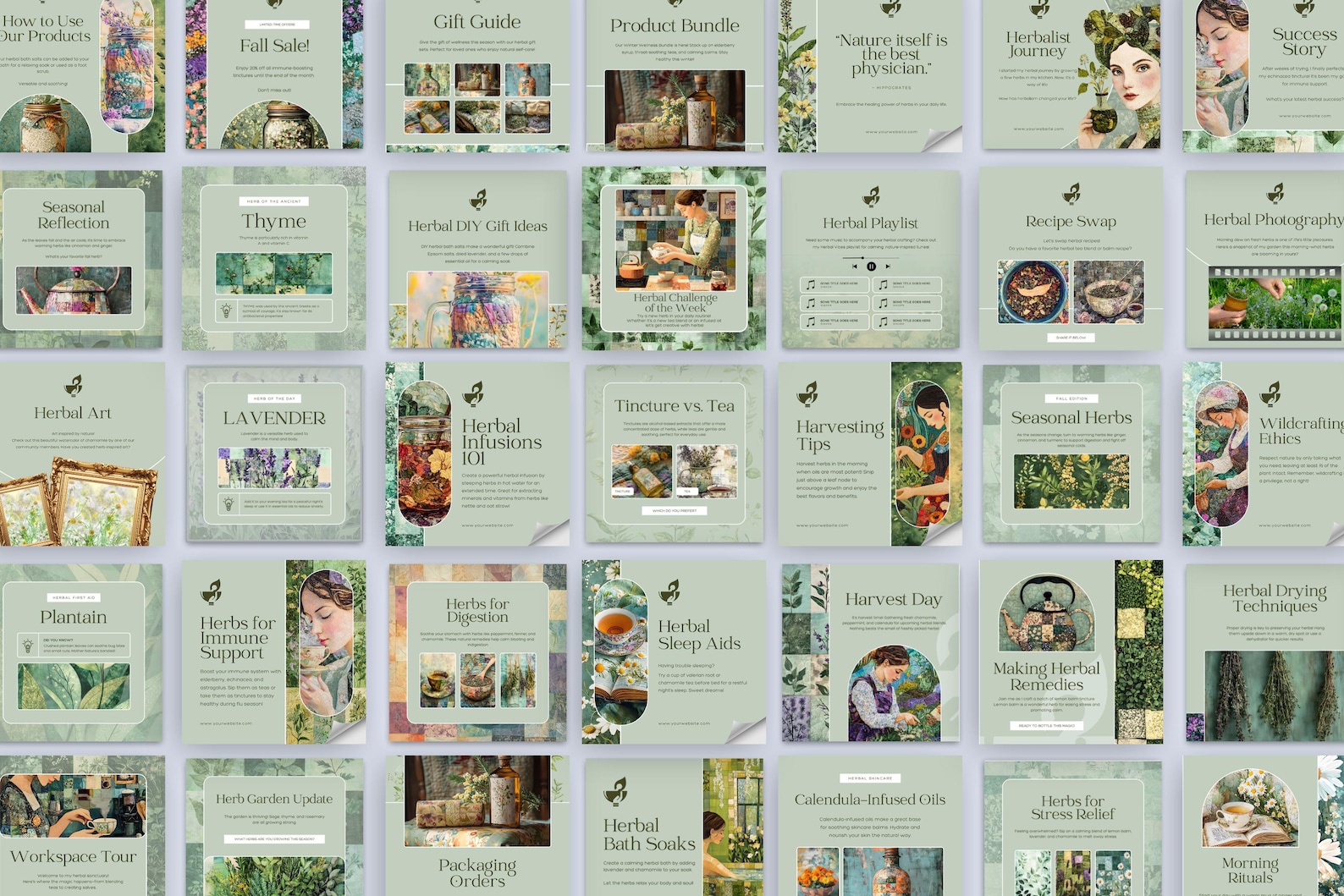 Herbal Social Posts, Instagram Post Canva Herbs, Social Media Posts ...