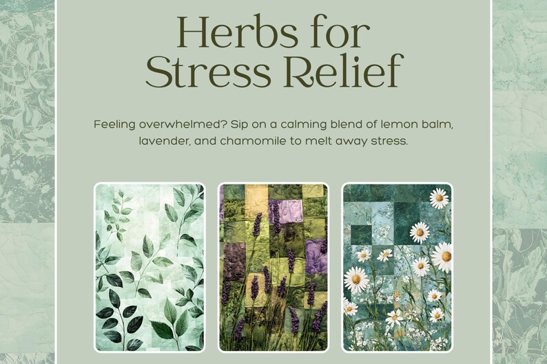 Herbal Social Posts, Instagram Post Canva Herbs, Social Media Posts ...