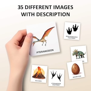 Dinosaur Bingo, 30 Dinosaurs Bingo Cards, Birthday Activitiy, Kids Dino ...