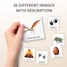 Dinosaur Bingo, 30 Dinosaurs Bingo Cards, Birthday Activitiy, Kids Dino ...