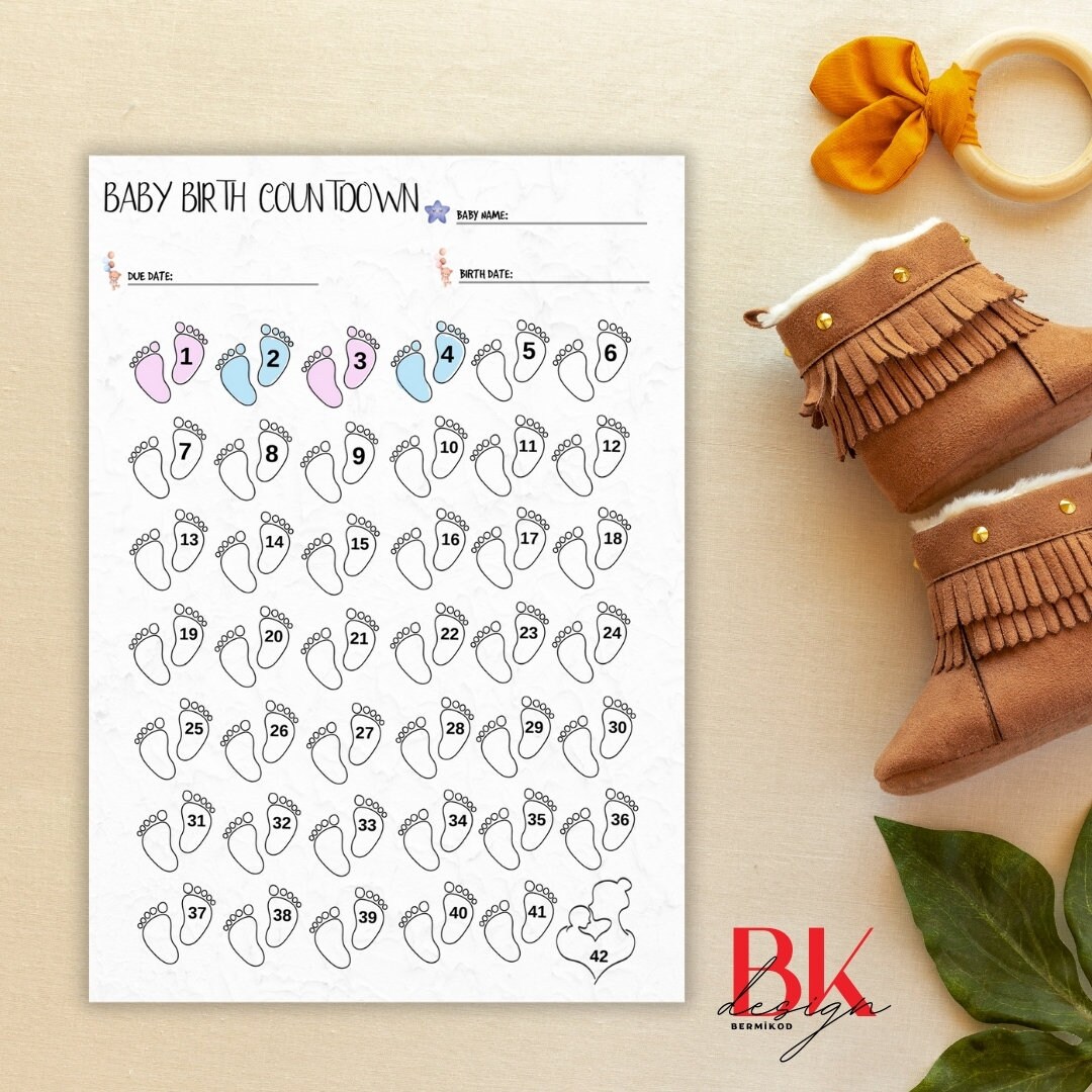 Baby Birth Countdown, Pregnancy Weekly Planner, Pregnancy Digital ...