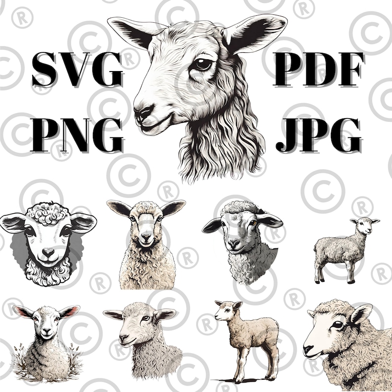 DIY Lamb Clip Art Bundle - SVG, PDF, Png, Jpeg for Crafts and Projects ...