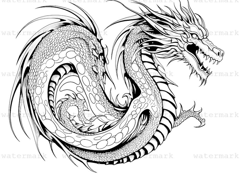 30 Majestic Dragon Coloring Pages - Etsy