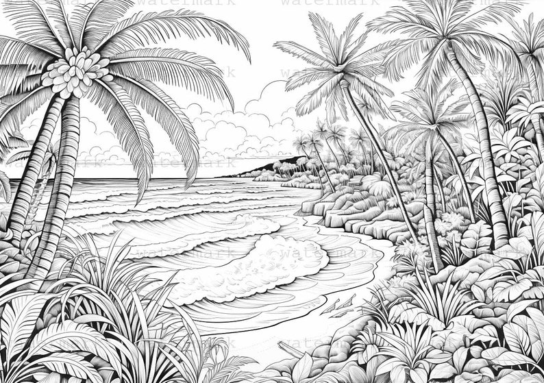 25 Tropical Beach Coloring Pages & Inspiration Bundle - Etsy