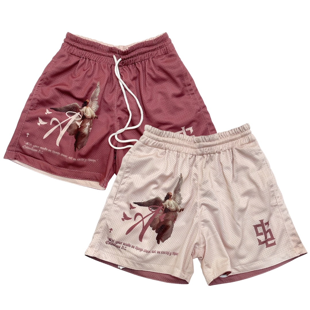 Reversible Mesh Shorts 4" - Angel (pink/cream) - Etsy