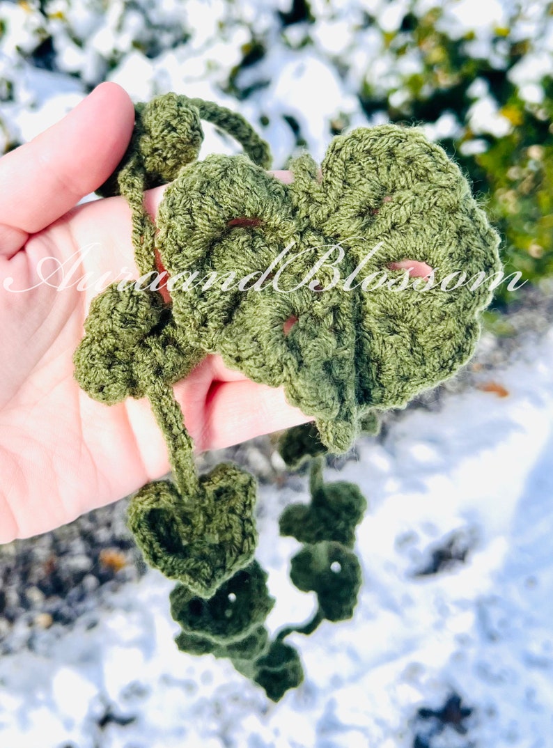 Monstera, Pothos, Crochet, Plant, Hanging, Art Decor, Macrame Decor ...