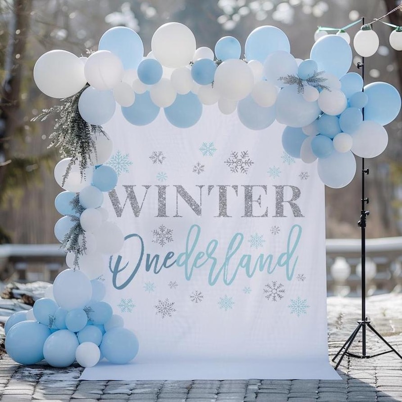 Winter Wonderland Decorations Party Supplies, Winter Onederland ...