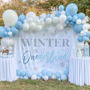 Winter Wonderland Decorations Party Supplies, Winter Onederland ...