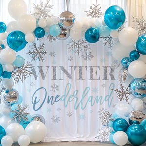 Winter Wonderland Decorations Party Supplies, Winter Onederland ...