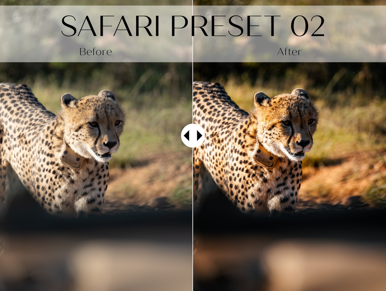 Safari Lightroom Preset Pack for Desktop and Mobile - Influencer ...